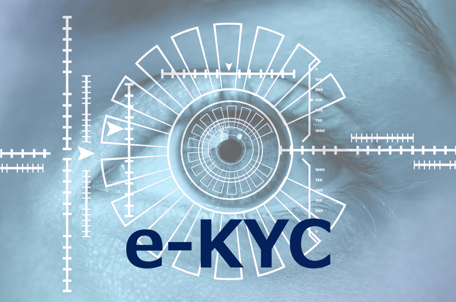 【DX推進】e-KYCの概要を徹底解説 | DXCEL WAVE