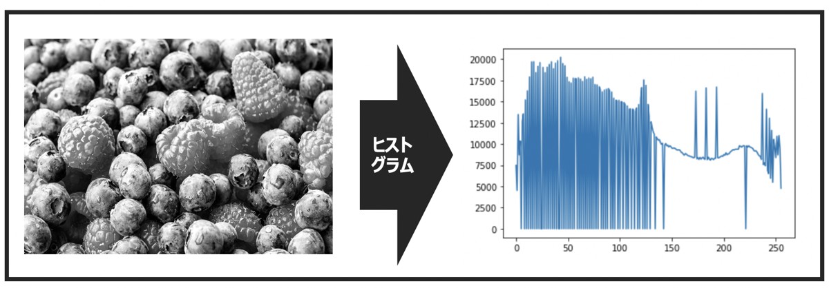 【Python】画像データからヒストグラムを描画・均一化｜OpenCVによる画像処理入門 | DXCEL WAVE