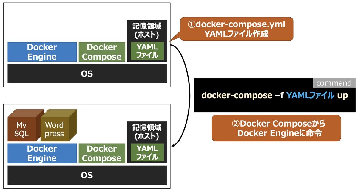 【Docker】WordPressを簡単構築｜Composeのクイックガイド | DXCEL WAVE